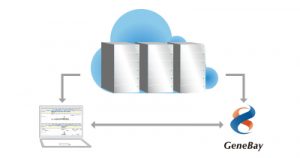 GeneBay – 株式会社ジーンベイ