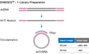 DNBSEQ（MGISEQ）シーケンス受託サービス | 株式会社ジーンベイ（GeneBay）